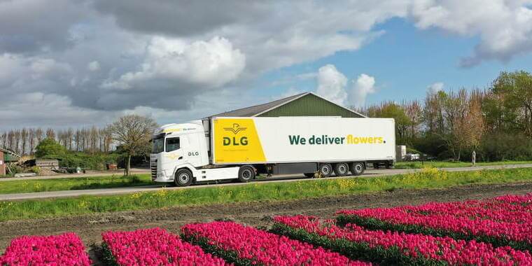 Daily Logistics Group is your logistics partner | DLG - DLG