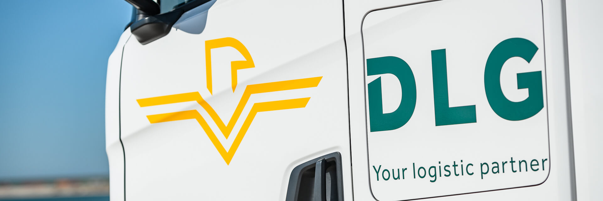 Terms and Conditions - DLG