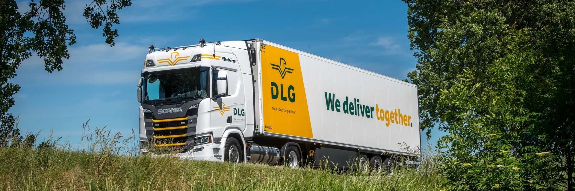 Need some logistics advice? DLG is your Logistics partner - DLG