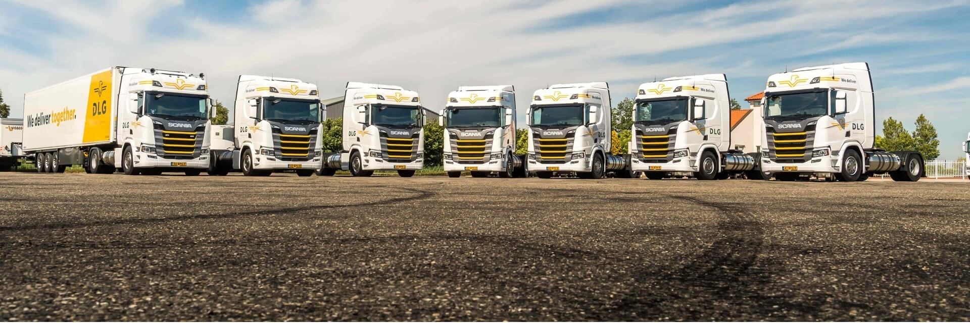 Supply chain logistics | International transport chain | DLG - DLG