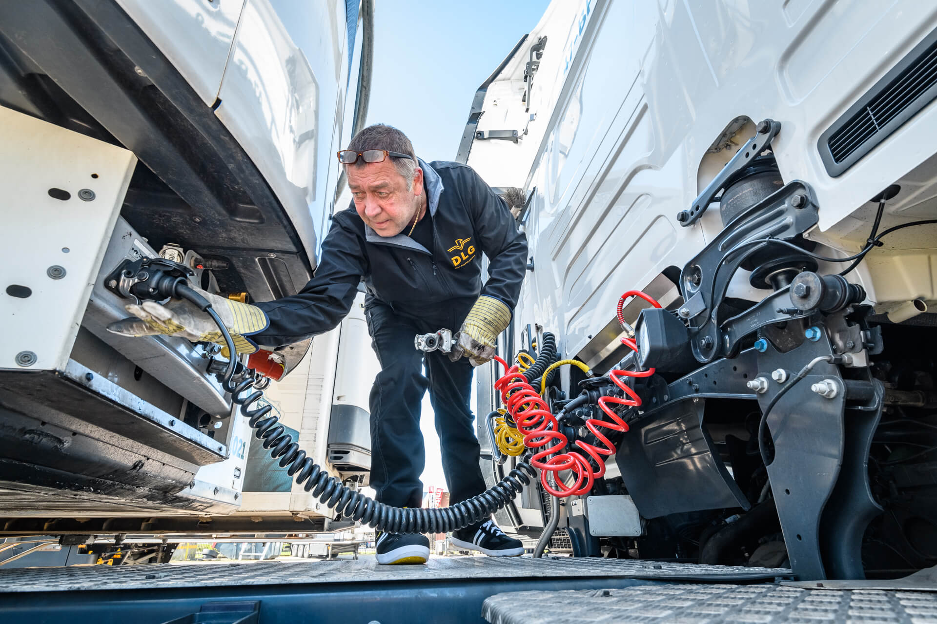 Efficient refrigerated transport | Europe, international & UK | DLG - DLG