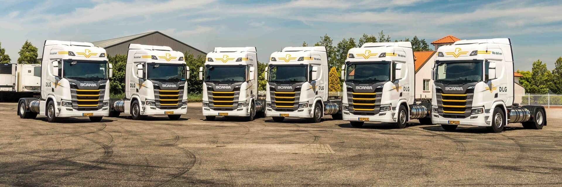 Logistics advice | International and European transport | DLG - DLG